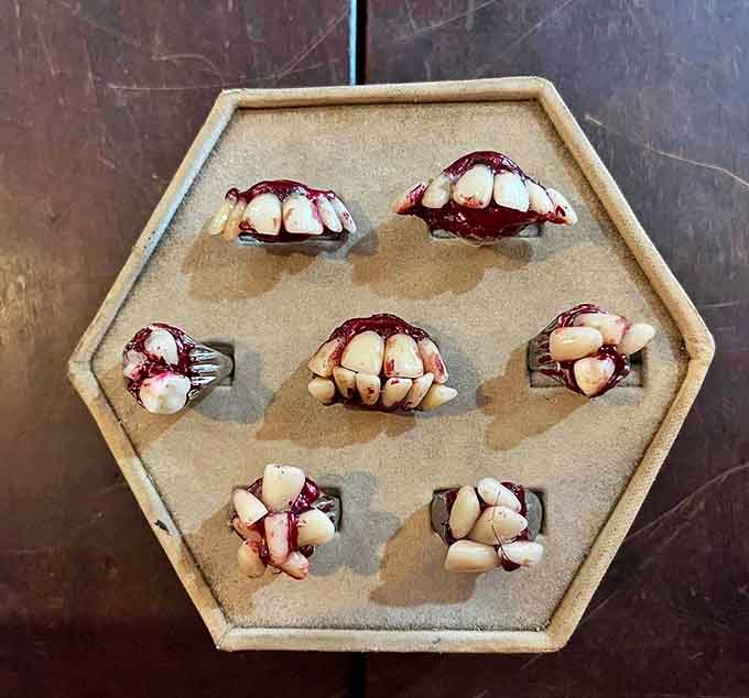 These aren't your typical jewelry store offerings! Tooth-adorned rings that make a statement &ndash; specifically, "I dare you to ask about my accessories."