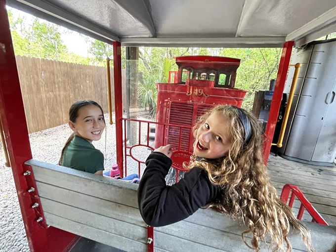 Young adventurers delight in the train experience, their expressions capturing that magical moment when childhood wonder meets reptilian fascination.
