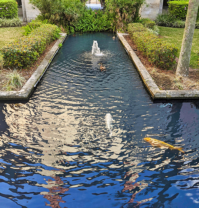 Colorful koi dart through crystal waters like living jewels, their orange and white scales flashing beneath the surface of the reflecting pool.