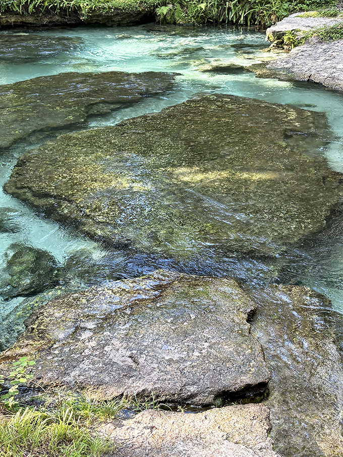 Limestone masterpieces: These ancient rock formations have been sculpted by flowing spring water for thousands of years.