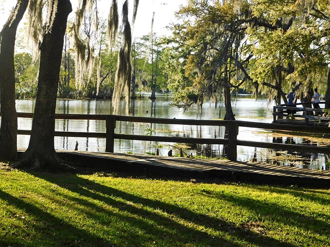 Emerald grass meets crystal water where white ibis often gather, creating a peaceful scene that feels miles away from city life.