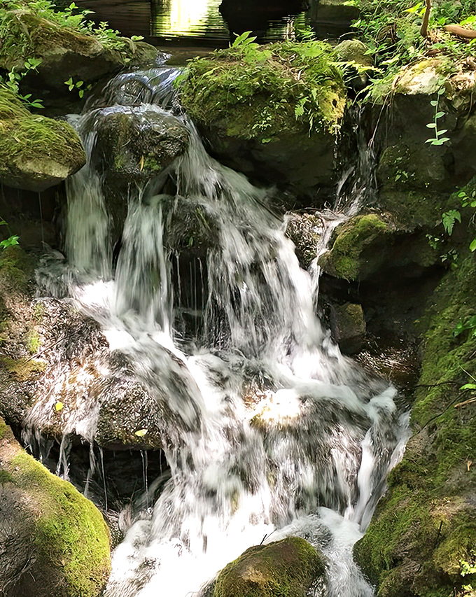 Ingeniously designed to look completely natural, these cascades have fooled generations of visitors into thinking Florida has topography.