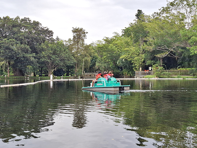 Serenity now! Paddle boats glide across tranquil waters, offering a peaceful respite from slides and splashes &ndash; and sneaky exercise for the kids.