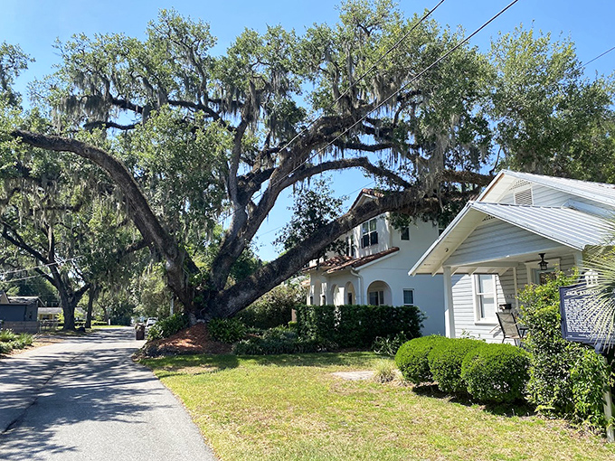 The pathway leading to literary history isn't paved with gold, just simple bricks and Florida sunshine that once guided Kerouac home.
