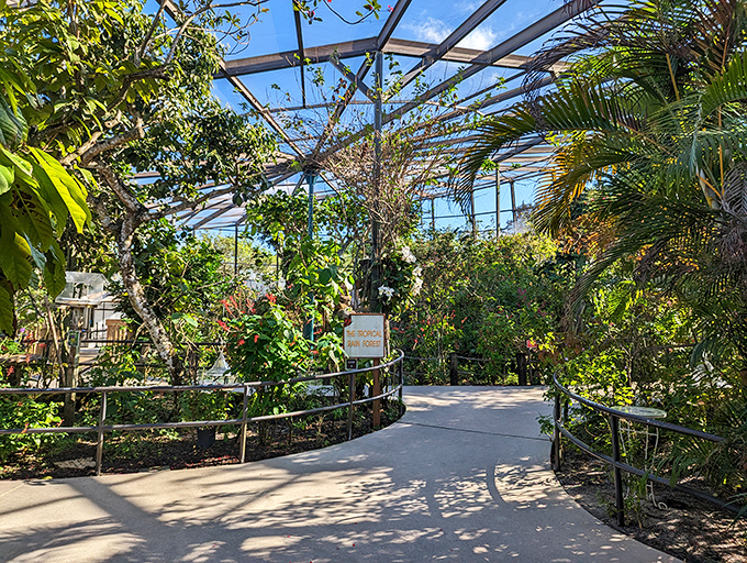 Winding pathways lead visitors through a botanical wonderland. Every turn reveals another "how is this real?" moment of butterfly magic.