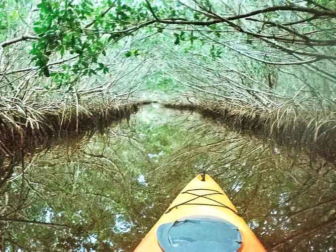 Navigating through nature's secret passages, this kayak adventure promises more authentic thrills than any roller coaster.