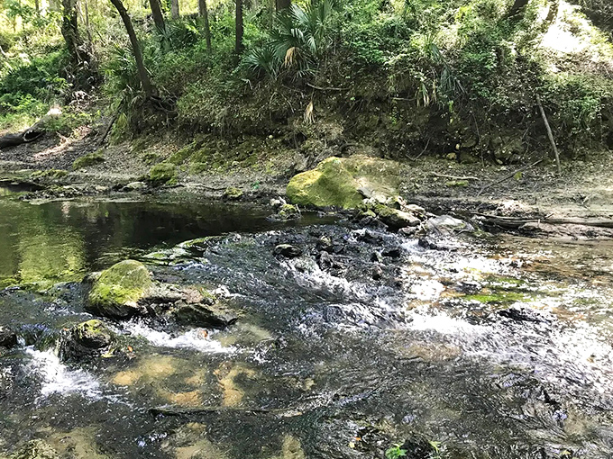 Rocky streams create miniature rapids as the water rushes through its brief but spectacular 450-foot journey before disappearing underground.