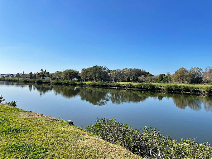 Mirror-perfect reflections: The lake at Sheffield Park doesn't just store water &ndash; it collects perfect moments, reflecting both clouds and the peaceful thoughts of visitors.