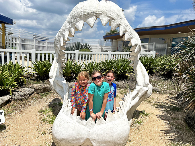 "I'm gonna need a bigger smile!" Kids discover the jaw-dropping scale of prehistoric marine predators through this interactive shark jaw display.