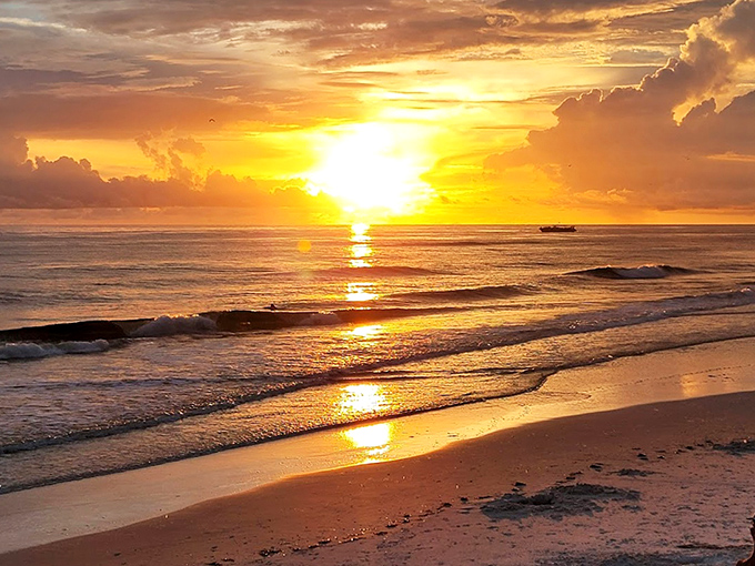 Sunset transforms the Gulf into liquid gold, proving that Mother Nature remains the undisputed champion of light shows.