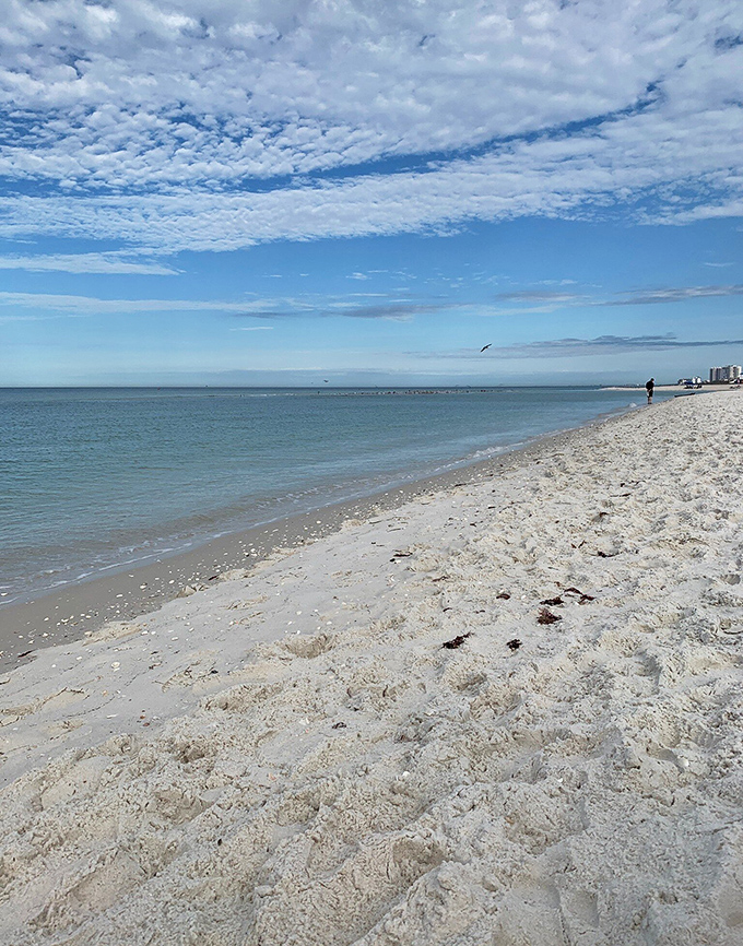 Pristine white sand meets gentle Gulf waters at Clam Pass Beach, where the shoreline remains blissfully uncrowded even on perfect Florida days.