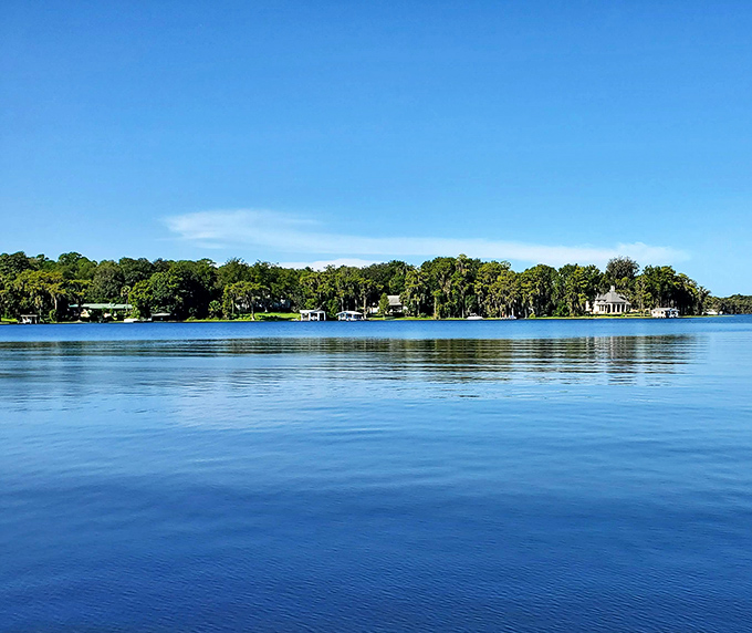 The distant shoreline beckons with promises of adventure, or maybe just a really good nap under those shady trees. Either way, you win.