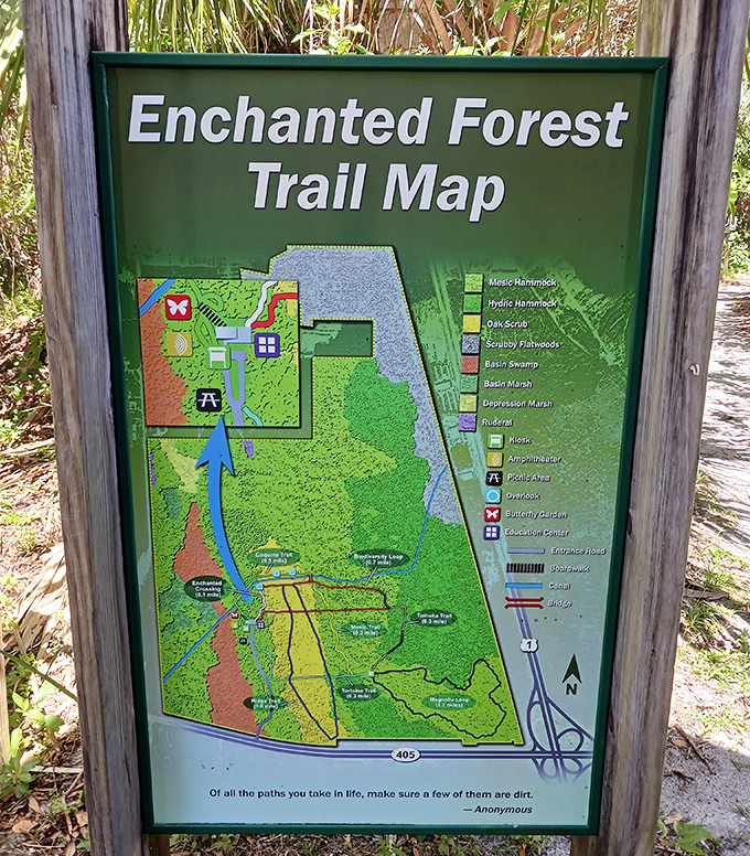 "You are here" &ndash; somewhere between civilization and wilderness. This colorful map prevents you from becoming permanent forest residents.