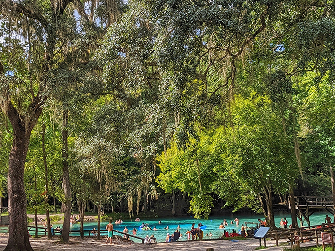 Summer bliss: Families and friends gather at the swimming area, creating memories in waters clearer than your grandmother's crystal.