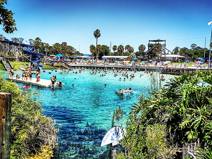 Happiness is measured in splashes at Buccaneer Bay, where families create memories one cannonball at a time.