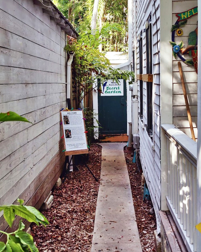 This unassuming pathway serves as the portal between ordinary life and an extraordinary avian adventure waiting just beyond.