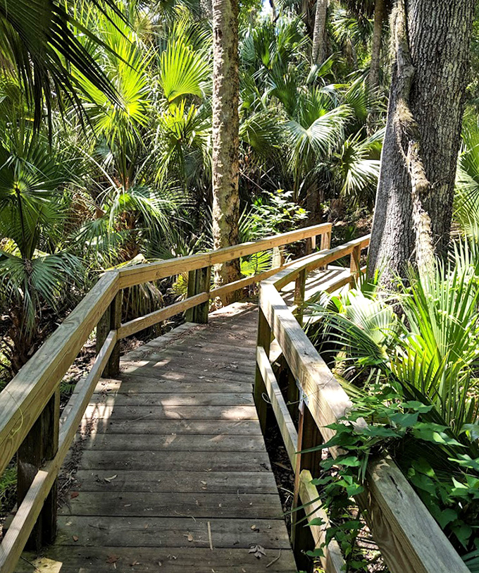 This wooden bridge doesn't just connect two points&mdash;it transports visitors into a primeval world where time moves at nature's pace.