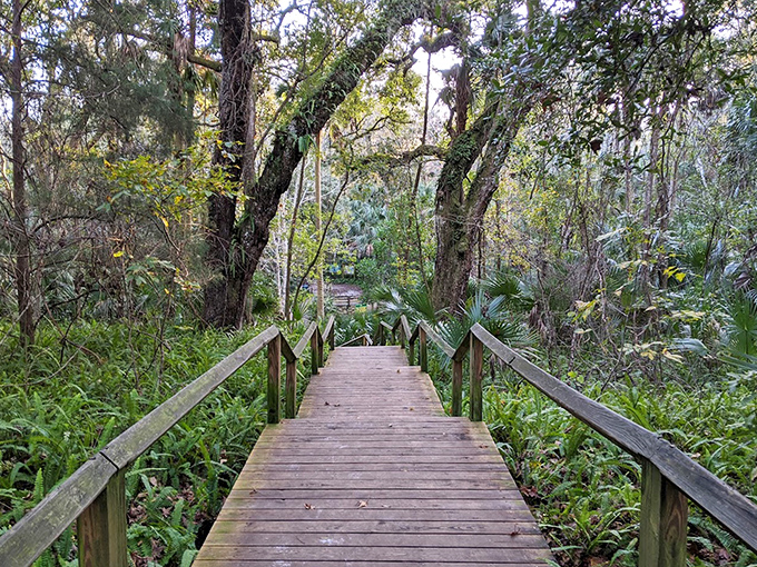 These wooden stairs have witnessed countless excited children and adults alike, all eager to reconnect with nature's playground.