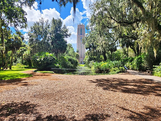 The iconic Bok Tower rises majestically through the trees, creating a fairytale backdrop for garden explorers.
