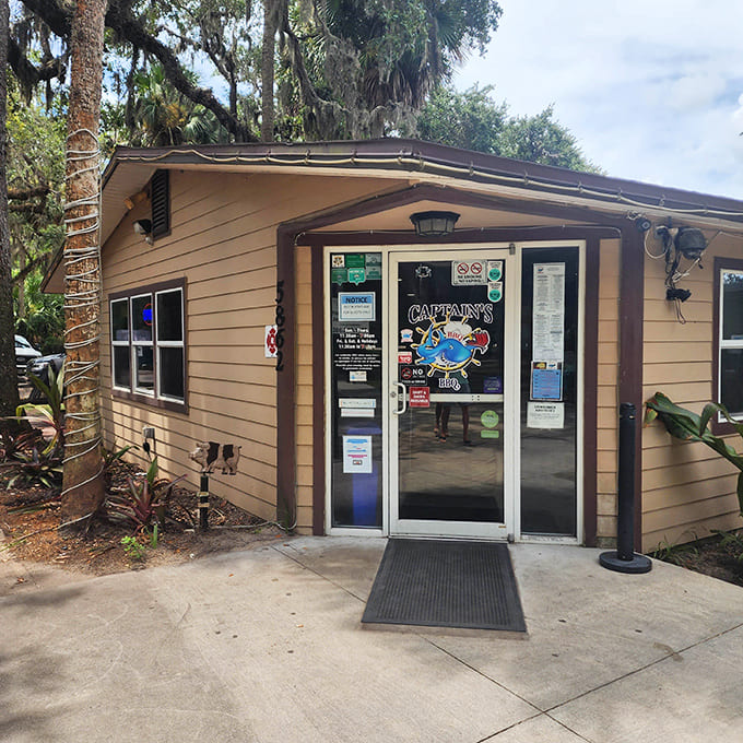 Captain's BBQ sits tucked under ancient oaks, where the smoke rises like signals calling all meat lovers.