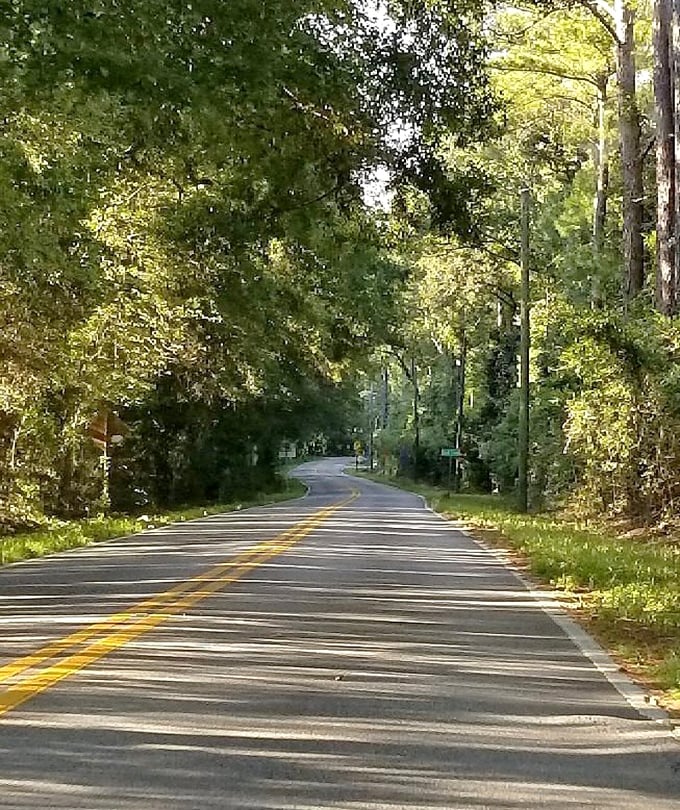 The Miccosukee Greenway invites outdoor enthusiasts to explore beneath a living roof of oak and hickory trees that change with every season.