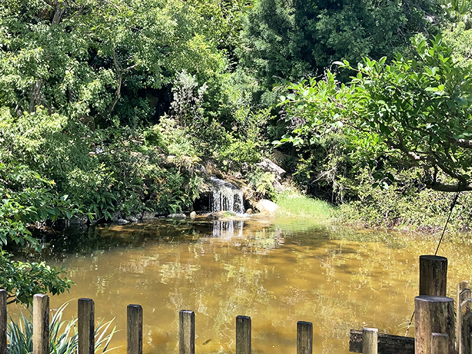 Morikami's Japanese waterfall embodies zen-like tranquility among tropical foliage. The carefully placed rocks guide water's journey just as they have for centuries in Japan.