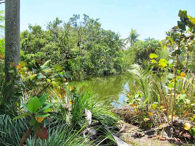 The former Crandon Park Zoo has transformed into an unusual garden space, with nature taking over the man-made cages.