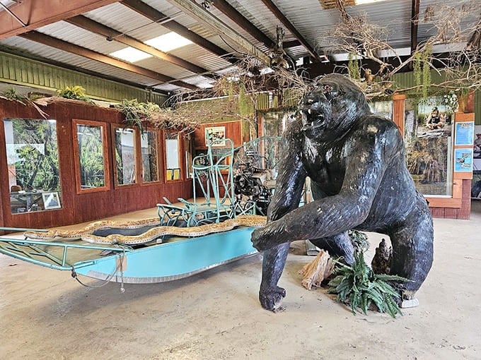 The Skunk Ape Headquarters takes cryptozoology seriously, displaying evidence of Florida's answer to Bigfoot with genuine enthusiasm and plenty of merchandise.