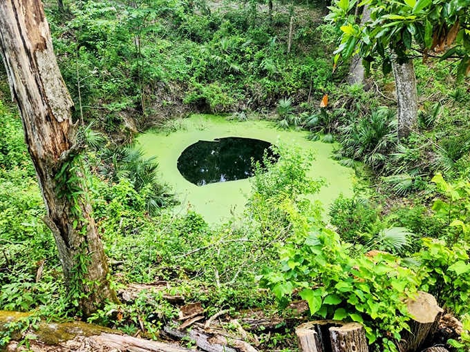 The otherworldly blue glow of Peacock Springs creates windows into Florida's vast underground river systems, a dream for experienced cave divers.
