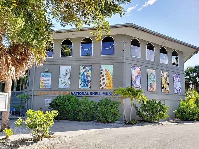 Bailey-Matthews National Shell Museum: Where seashells get the star treatment they deserve in exhibits that transform beach treasures into scientific wonders.