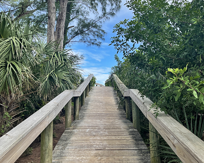 Beach Access Boardwalk This wooden pathway doesn't just lead to the beach &ndash; it's the dividing line between everyday life and coastal bliss.
