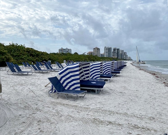Beach-ready lineup: Blue and white striped loungers stand at attention, awaiting sun-seekers on Naples' pristine shore.