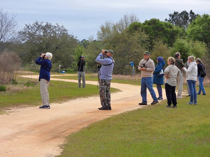 Binoculars at the ready, wildlife enthusiasts gather along the trail, united in their quest for feathered encounters.