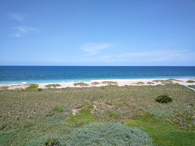Untouched coastal beauty stretches to the horizon, proving paradise doesn't need high-rises to be perfect.