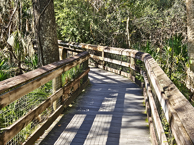 This boardwalk doesn't lead to carnival games or cotton candy &ndash; just pure, unfiltered natural beauty at every turn.