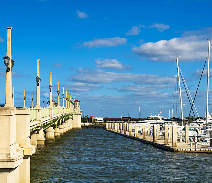 Sailboats rest in the marina beside the bridge, their masts creating a forest of vertical lines against the horizontal water.