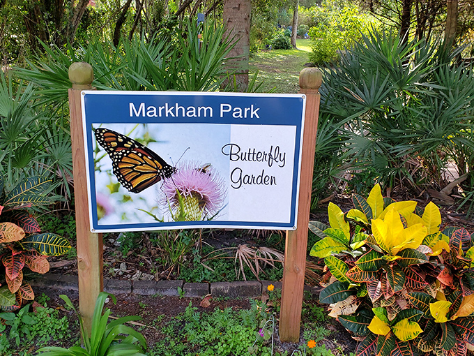 The butterfly garden transforms visitors into giants in a miniature world where winged jewels dance from bloom to bloom.