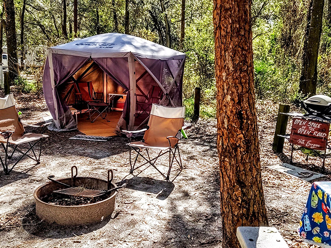 A cozy glamping setup invites outdoor lovers to experience nature without sacrificing comfort &ndash; like having your cake and eating it in the woods.