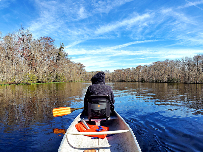 Paddling through these pristine waters feels like traveling back in time to when Florida was wild and untamed.