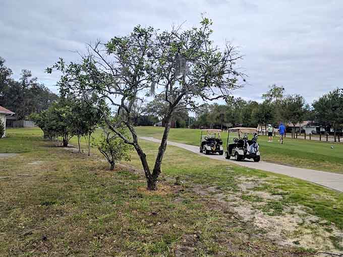 Golf carts lined up like eager students on the first day of school, ready to help players navigate this beautiful course one hole at a time.