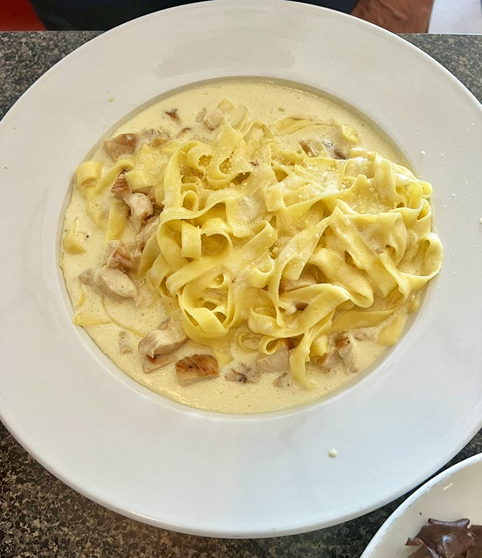 Chicken Fettuccine Alfredo so creamy it should be illegal &ndash; tender morsels of chicken swimming in a sauce that defines comfort food perfection.