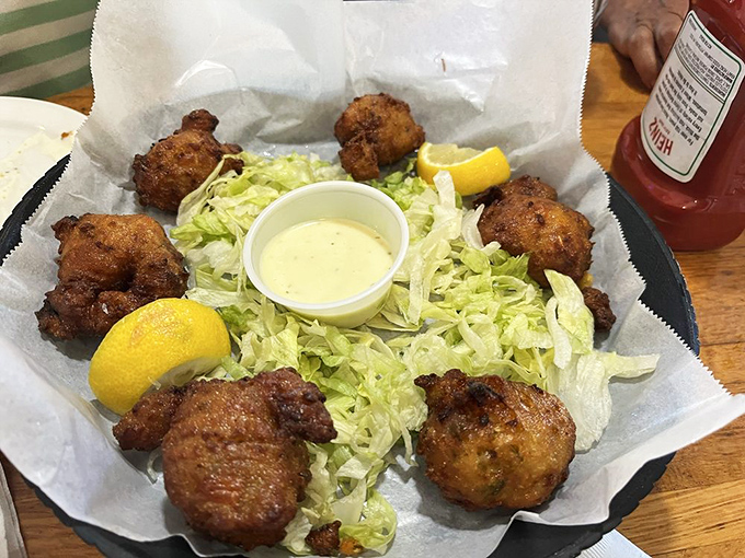 Conch fritters that could make a seagull jealous &ndash; golden-brown perfection with a tender center that captures Caribbean magic.
