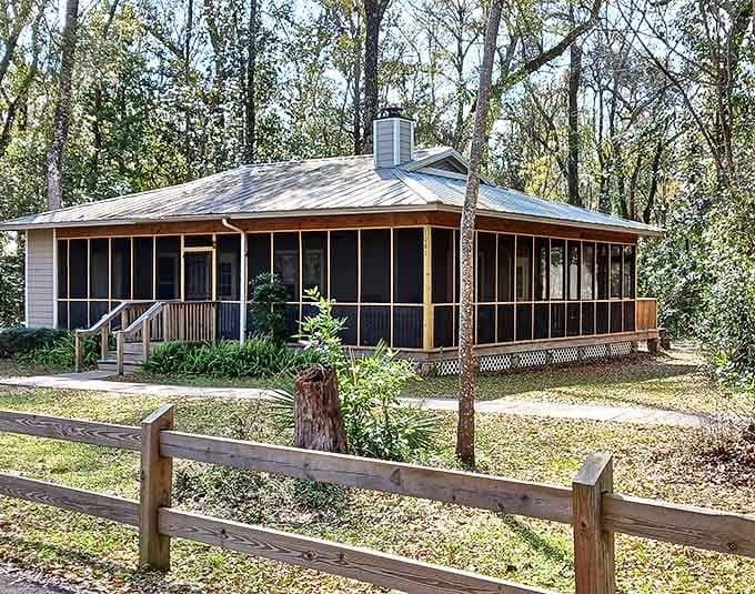 These cabins aren't just places to sleep &ndash; they're front-row tickets to nature's greatest show, with air conditioning as a bonus.