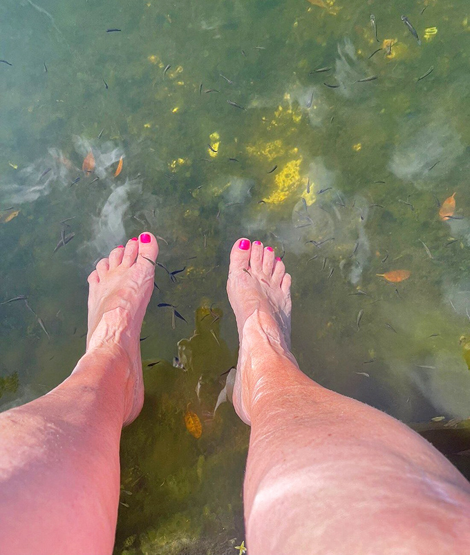 Nature's pedicurists at work! Tiny fish provide exfoliation services while visitors enjoy a uniquely ticklish spa experience right in the middle of a nature preserve.