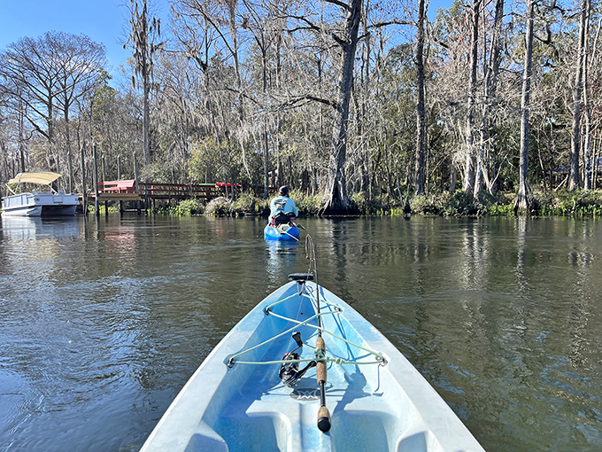 "Gone fishing" takes on new meaning when your office for the day has panoramic water views and wildlife colleagues.