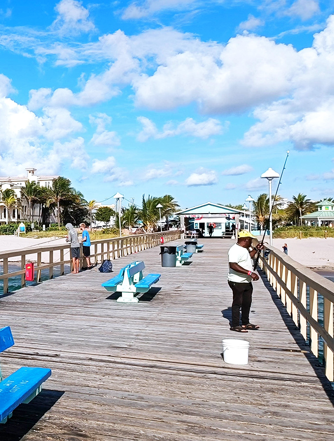 Local anglers know the fishing pier offers more than just catches – it's a front-row seat to nature's daily performance.
