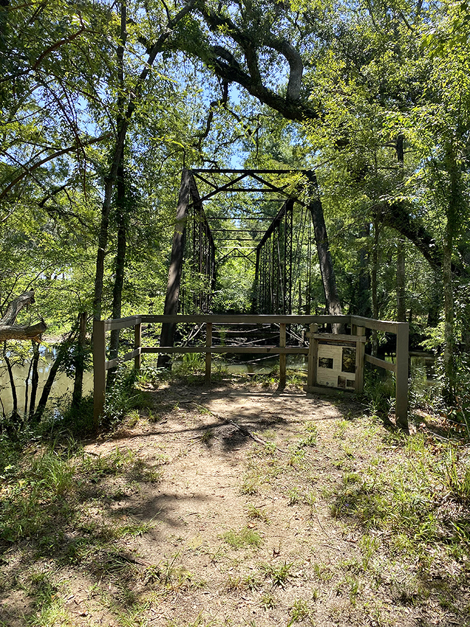 Lush greenery envelops visitors in a natural embrace, offering a welcome respite from the concrete jungle of everyday life.