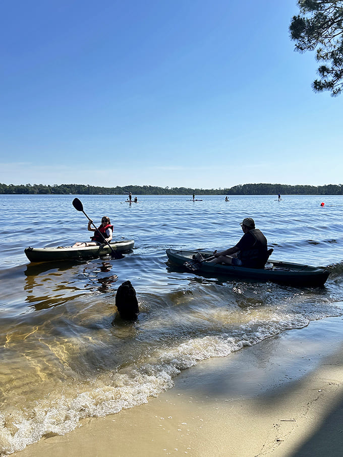Kayakers launch into adventures while a curious pup supervises from shore, probably wondering why humans need boats when swimming exists.