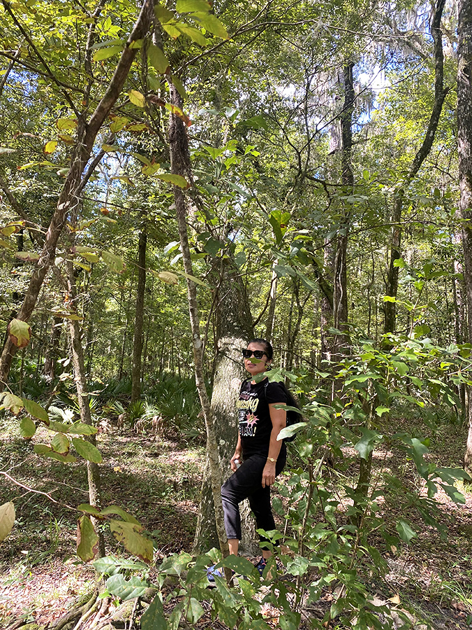Lost in the woods &ndash; dense Florida vegetation creates natural tunnels of green, offering peaceful solitude just minutes from bustling Gainesville.