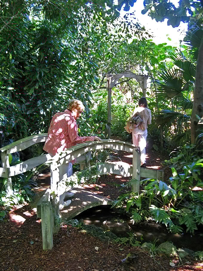 Wooden bridges over tranquil waters create those peaceful moments that make you forget your phone exists for a few blessed minutes.